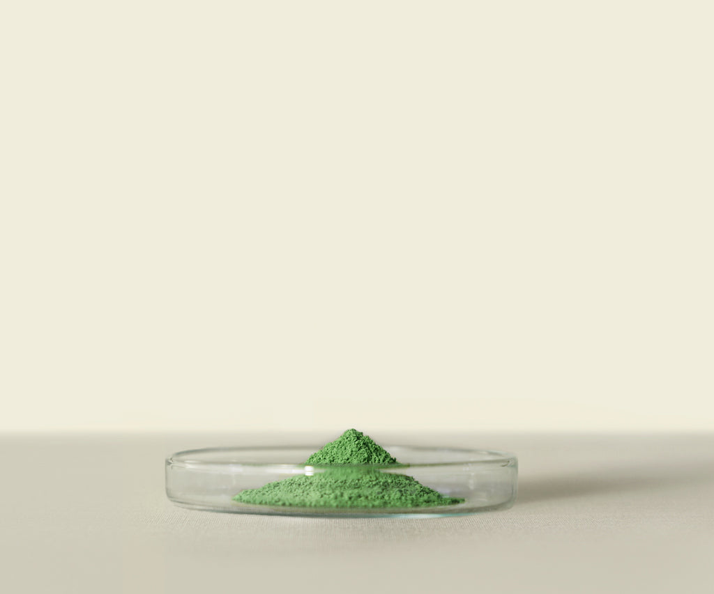 Matsu™ Ceremonial Matcha 20g – Matchaeologist USA
